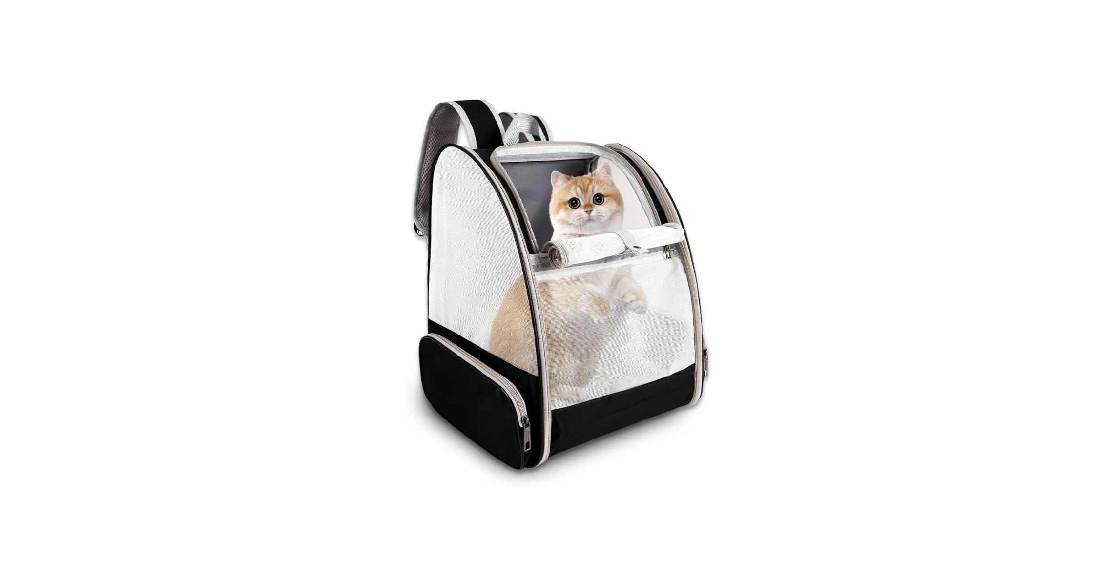 Rucsac Transport Animale De Companie Negru Pliabil Și Confortabil Din ...